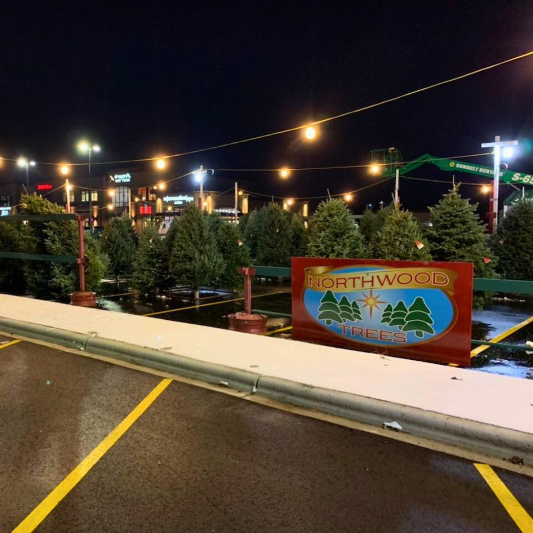Fir and Pine Christmas Trees | Pick Up & Delivery | Madison, WI ...
