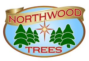 Fir and Pine Christmas Trees | Pick Up & Delivery | Madison, WI ...